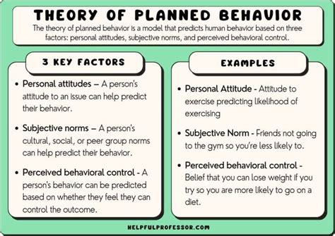 15 Theory Of Planned Behavior Examples 2024