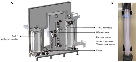 Frontiers Evaluation Of An Ultrafiltration Membrane For The Removal