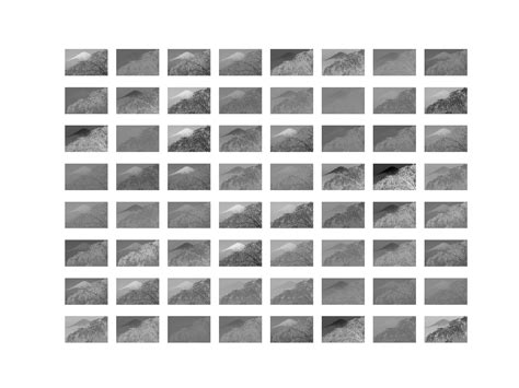 Pytorch中网络特征图feture Map、卷积核权重、卷积核最匹配样本、类别激活图class Activation Mapcam、网络结构的可视化方法 Tensor