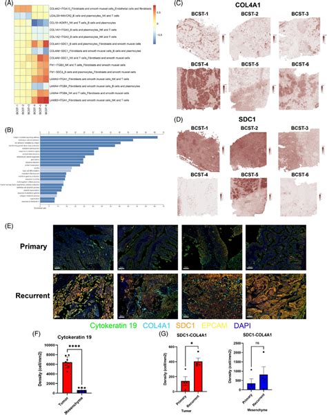 Spatial Cellcell Communication Differential Analysis Among Seven Spot Download Scientific