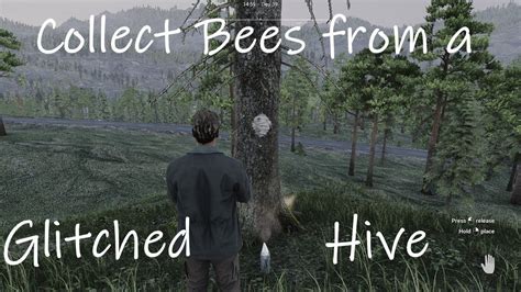Ranch Simulator How To Collect Bees From A Glitched Hive YouTube