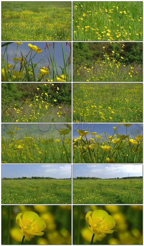 微风吹拂卡通微风吹拂微风卡通大山谷图库