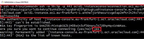 How To Create A Serial Console Connection To Your Vm Db System