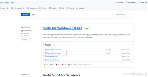 Window下搭建redis哨兵环境并集成到springboot全网最详细windows配置redis哨兵模式 Csdn博客