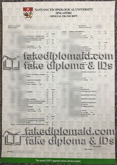 Singapore University Undergraduate Transcript Buy NTU Babe Report