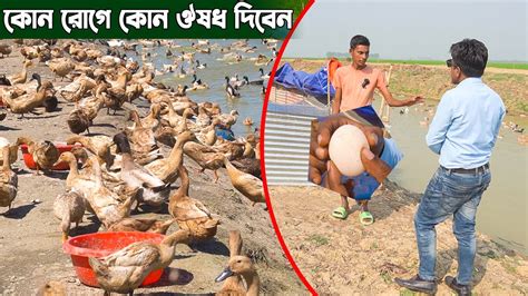 কোন রোগে কোন ঔষধ দিবেন হাঁসের খামার Duck Farming Khamar Bangla 24 Youtube