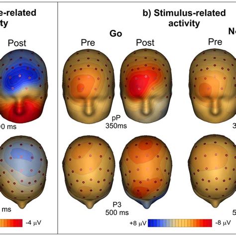 Scalp Topography Maps Scalp Topography Of Response Related A And Download Scientific Diagram