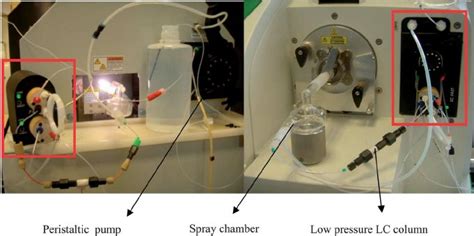 Low Pressure LC ICP MS System Left ESI FAST System In Frame Download Scientific Diagram