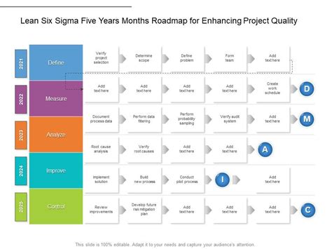 Lean Six Sigma Five Years Months Roadmap For Enhancing Project Quality Elements