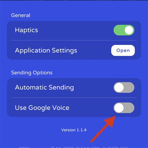 Google Voice Setup Quick Send