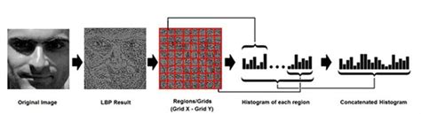 Histogram Of An Image Based On The Lbp Code Download Scientific Diagram