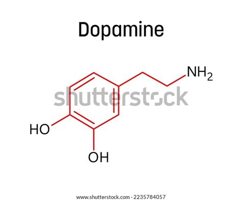도파민 분자구조 도파민은 인체에 중요한 역할을 스톡 벡터 로열티 프리 2235784057 Shutterstock