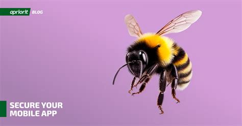 OWASP Mobile Top 10 For Mobile App Security Apriorit