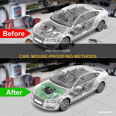 Protect Your Car Mouse Proofing Methods Shunauto