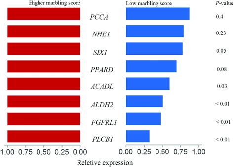 Validation Of The Target Genes In The Rumen Of Hu Sheep The Red Download Scientific Diagram