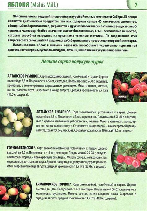 Саженцы плодовых и ягодных культур - НИИCC имени М.А. Лисавенко
