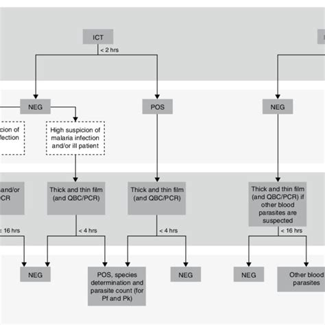 Algorithm With Requirements For The Laboratory Diagnosis Of Malaria Download Scientific