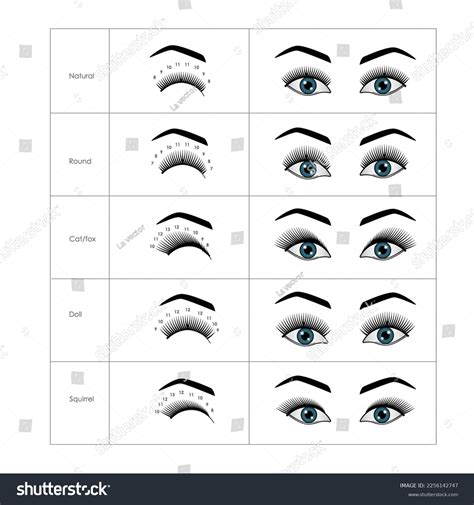 Eyelash Extension Guide Direction Schemes Tips Stock Vector Royalty
