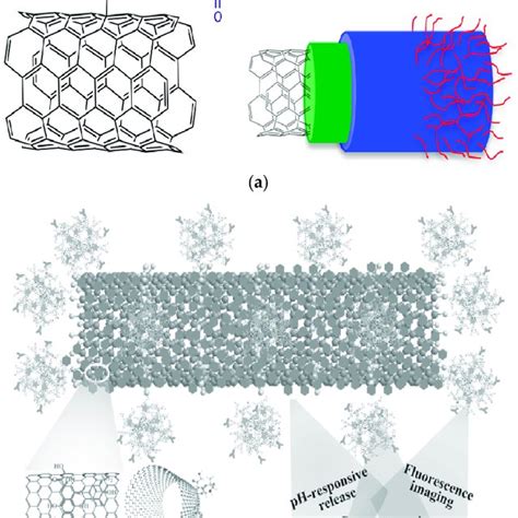 Pdf Surface Modified Multifunctional And Stimuli Responsive Nanoparticles For Drug Targeting