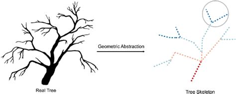 Figure 3 From Segmenting Individual Trees From Terrestrial Lidar Data Using Tree Branch