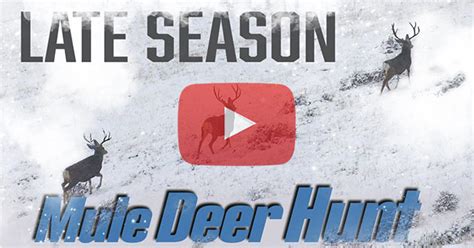 Hunting The Winter Range For Giant Mule Deer Eastmans Official Blog Mule Deer Antelope