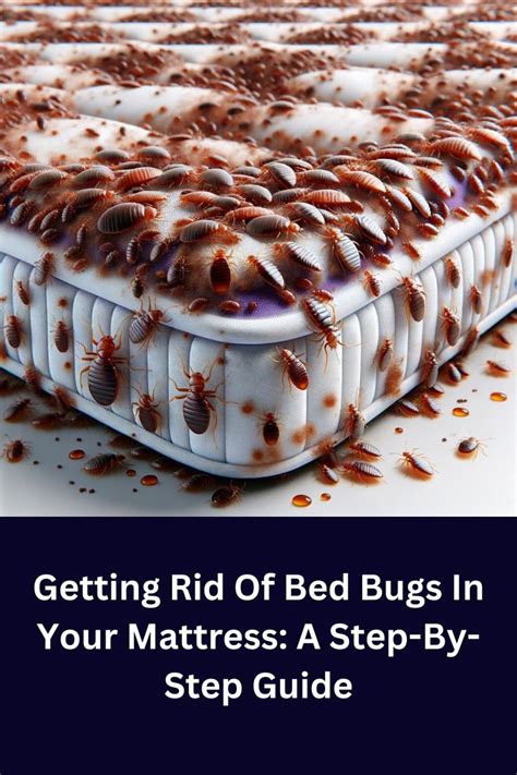 Get Rid Of Bed Bugs In Your Mattress