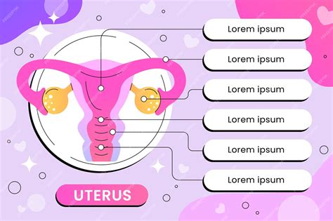 성교육 인포그래픽 디자인 무료 벡터