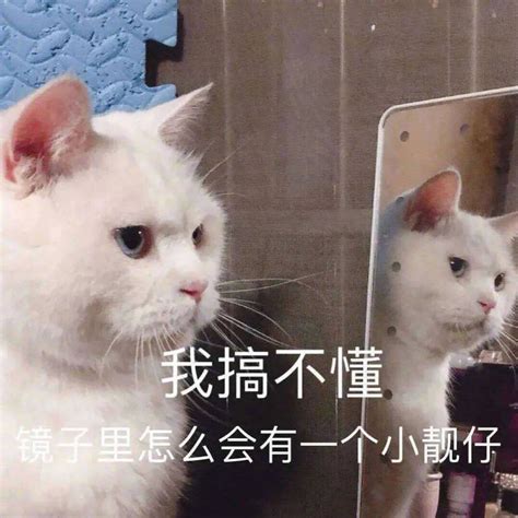 表情包 期待的搓手手 拿图点赞吱声
