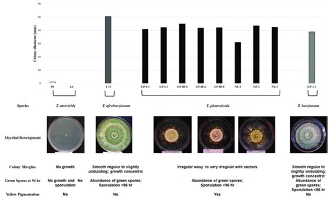 Morphological And Physiological Characteristics Of Trichoderma Isolates