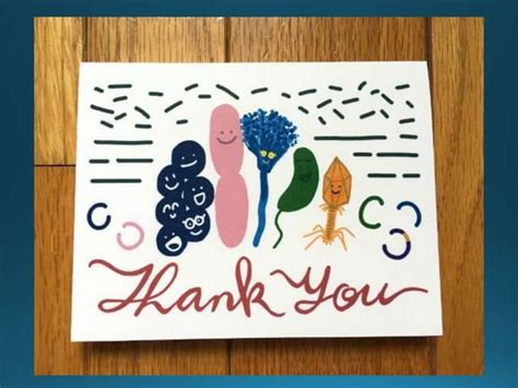 Cryptococcus Neoformans For Bmit Class Pptx