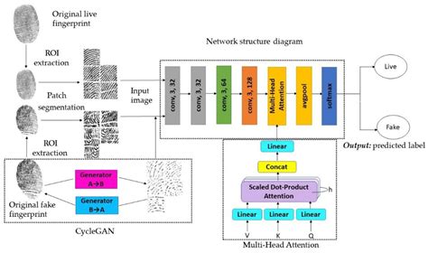 Lfldnet Lightweight Fingerprint Liveness Detection Based On Resnet And Transformer