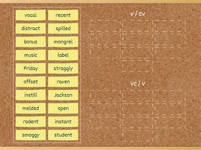 V Cv And Vc V Syllable Patterns Teaching Resources