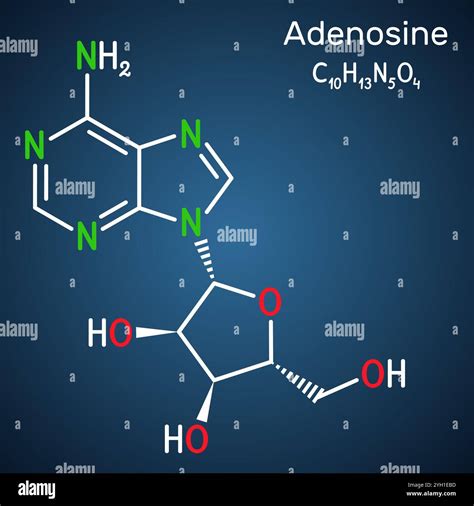 Adenosine Ribonucleoside Molecule Chemical Structure Of Nucleoside Dark Blue Background