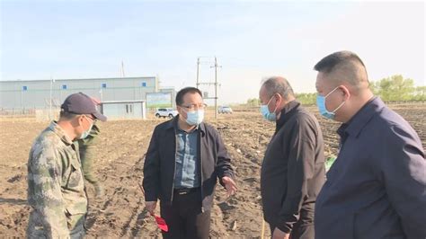 齐齐哈尔市黑土粮仓科技会战调研组来我市调研 澎湃号·政务 澎湃新闻 The Paper