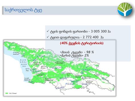 გავუფრთხილდეთ ცოცხალ ბუნებას პროექტის სურათები