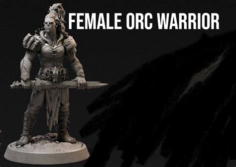 Virgena The Warrior Figure Unpainted 3d Buy On