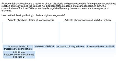 Solved Fructose 2 6 Bisphosphate Is A Regulator Of Both