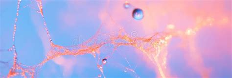 Droplets Create Intricate Patterns On Spider Webs Under Bright Light Stock Illustration