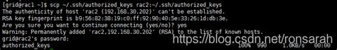 oracle 11gr2 rac安装笔记（四）安装grid infrastructure su grid csdn博客