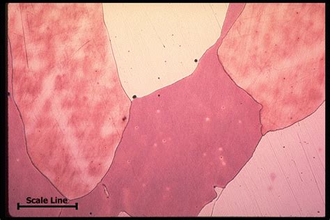 Resources Standards And Properties Copper And Copper Alloy Microstructures Brasses