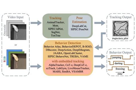 Behavioral Neuroscience Open Source Software For Behavioral Analysis