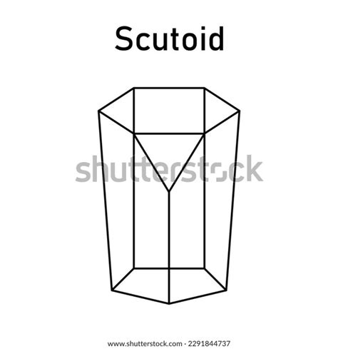 Scutoid Shape Types Geometric Solid Stock Vector Royalty Free