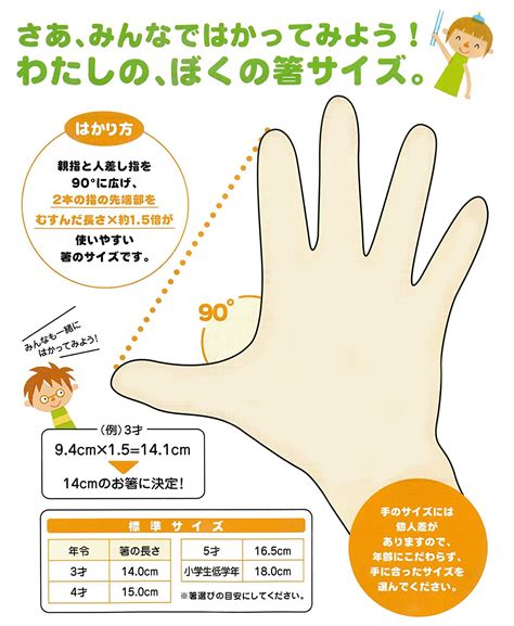 そろそろ箸の練習をした方が良いらしい。子供用三点支持箸購入レビュー。