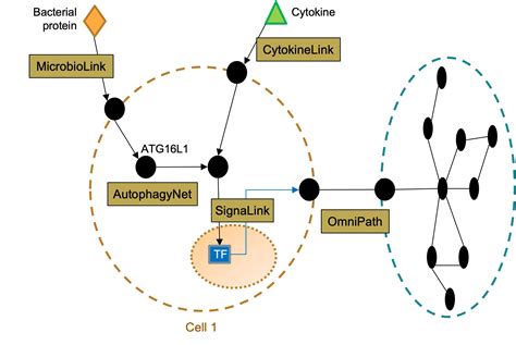 Resources Official Website Of Korcsmaroslab