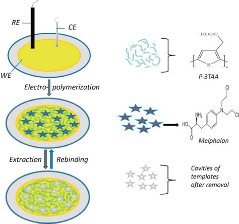 Limitations And Challenges In The Practical Implementation Of Mips