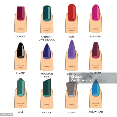 손톱에 흰색의 다른 모양의 집합입니다 손톱 모양 아이콘 폴란드어 매니큐어 벡터 일러스트 레이 션 다양에 대한 스톡 벡터 아트 및 기타 이미지 Istock