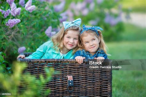 두 명의 귀여운 웃는 여자 자매 사랑 스러운 함께 라일락 필드에 부시 모두 세련 된 드레스와 청바지 코트 입고 2명에 대한 스톡 사진 및 기타 이미지 Istock