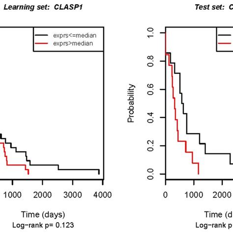 Technical Validation Of Microarray Results By Real Time Rt Pcr