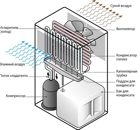 Принцип работы осушителя воздуха: подробное описание видов осушения ...