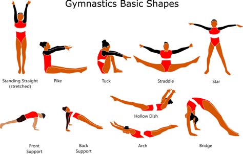 Adult Gymnastics Classes Synergy London